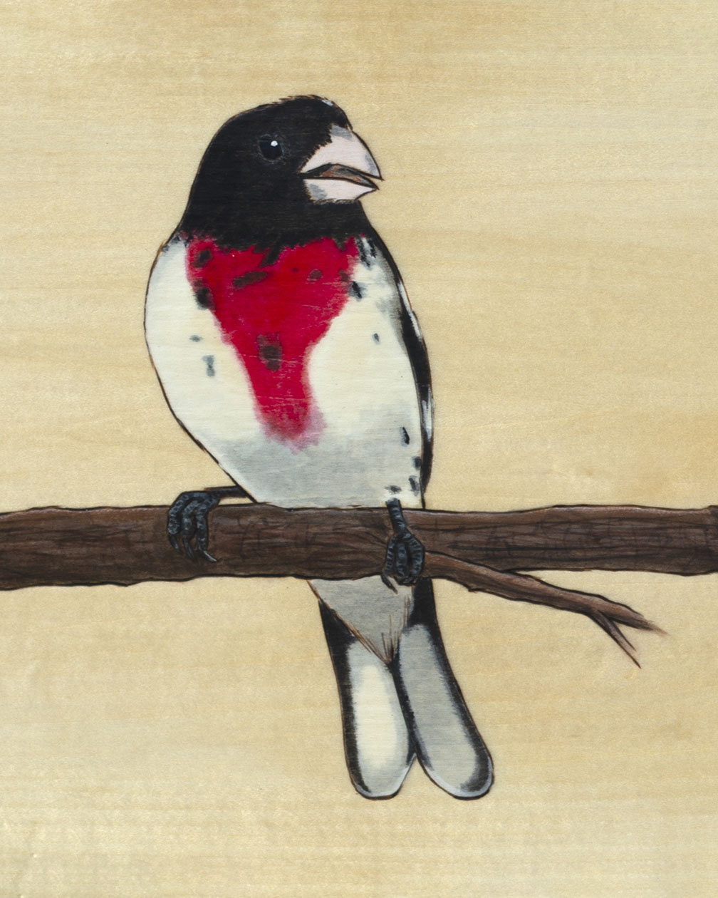 Birds on a Branch Painted Pyrography, Natural Live Edge Wood, Wood ...