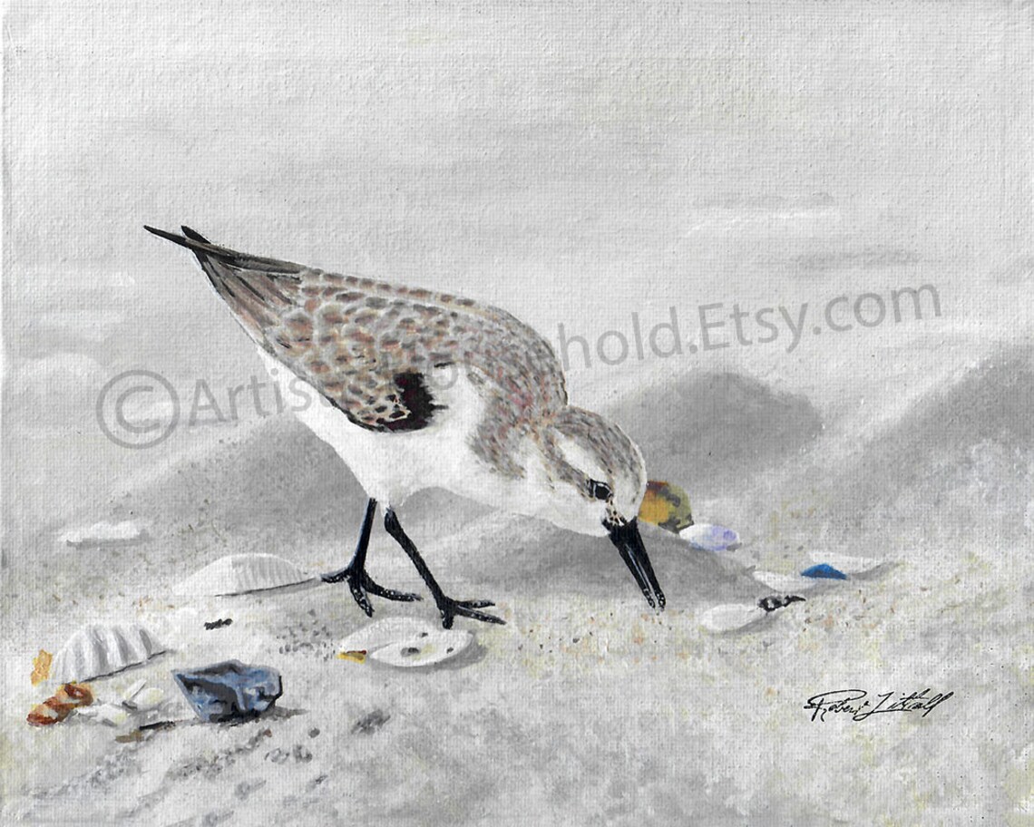 Original Acrylic Painting, Snowy Plover, Beach Art, Acrylic Canvas ...