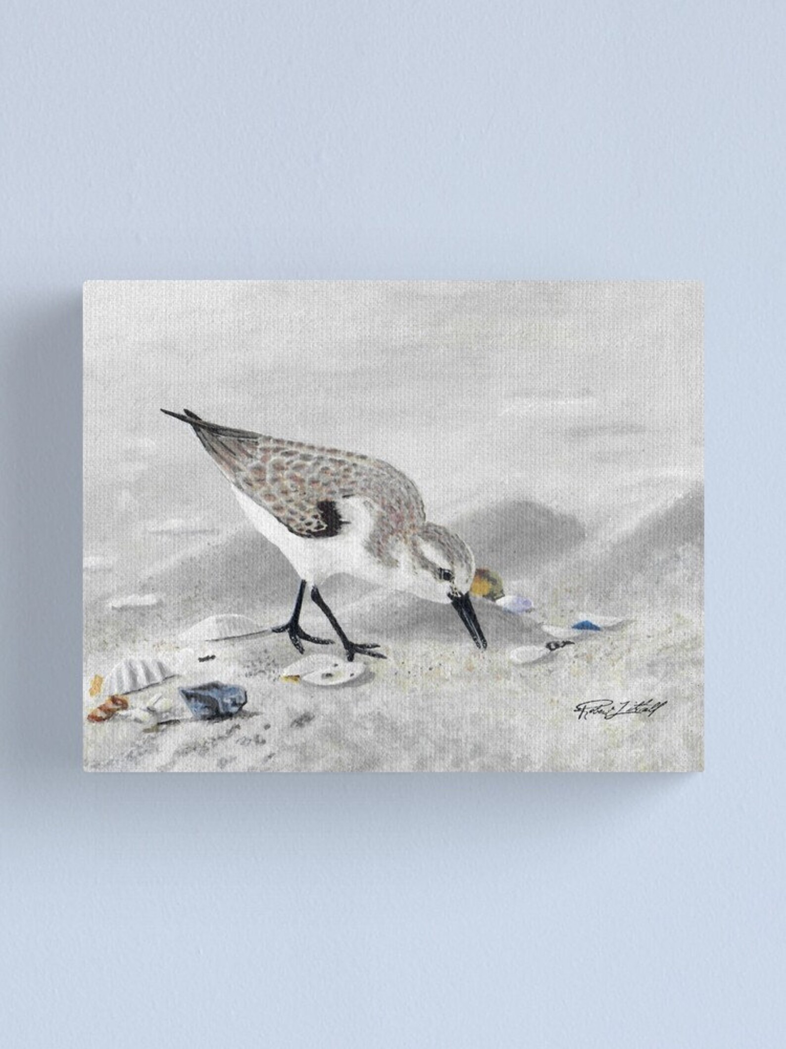 Original Acrylic Painting, Snowy Plover, Beach Art, Acrylic Canvas ...