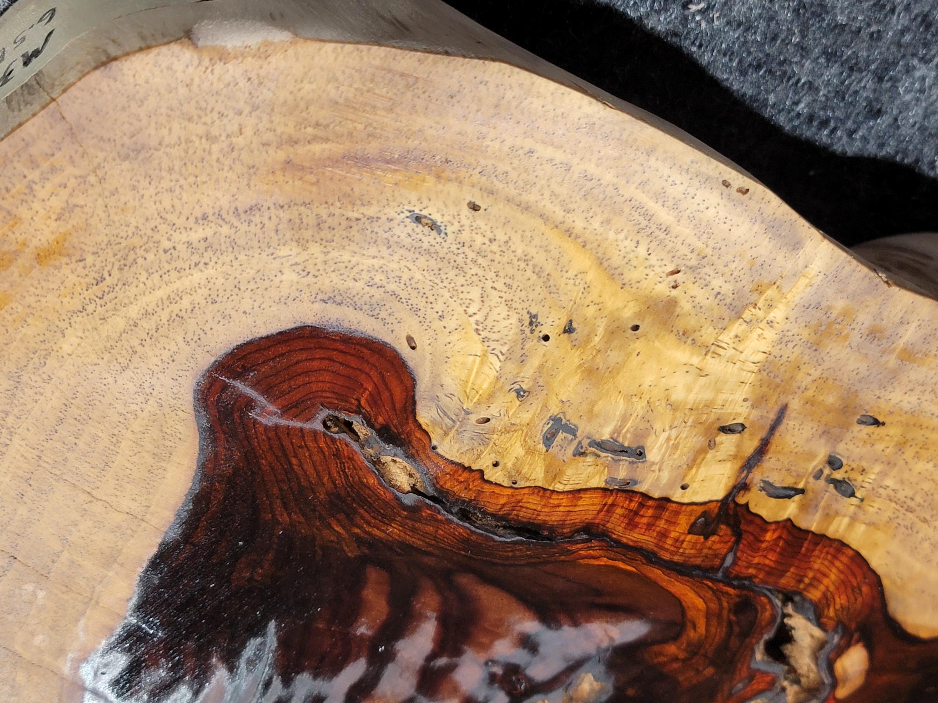 Cocobolo Rosewood Live Edge Slab Crosscut Medallions Exotic Wood Lumber ...
