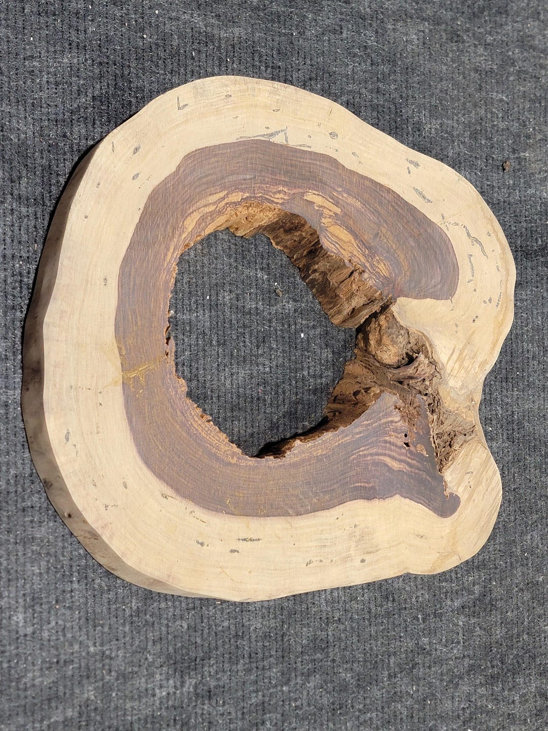 Cocobolo Rosewood Live Edge Slab Crosscut Medallions Exotic Wood Lumber ...