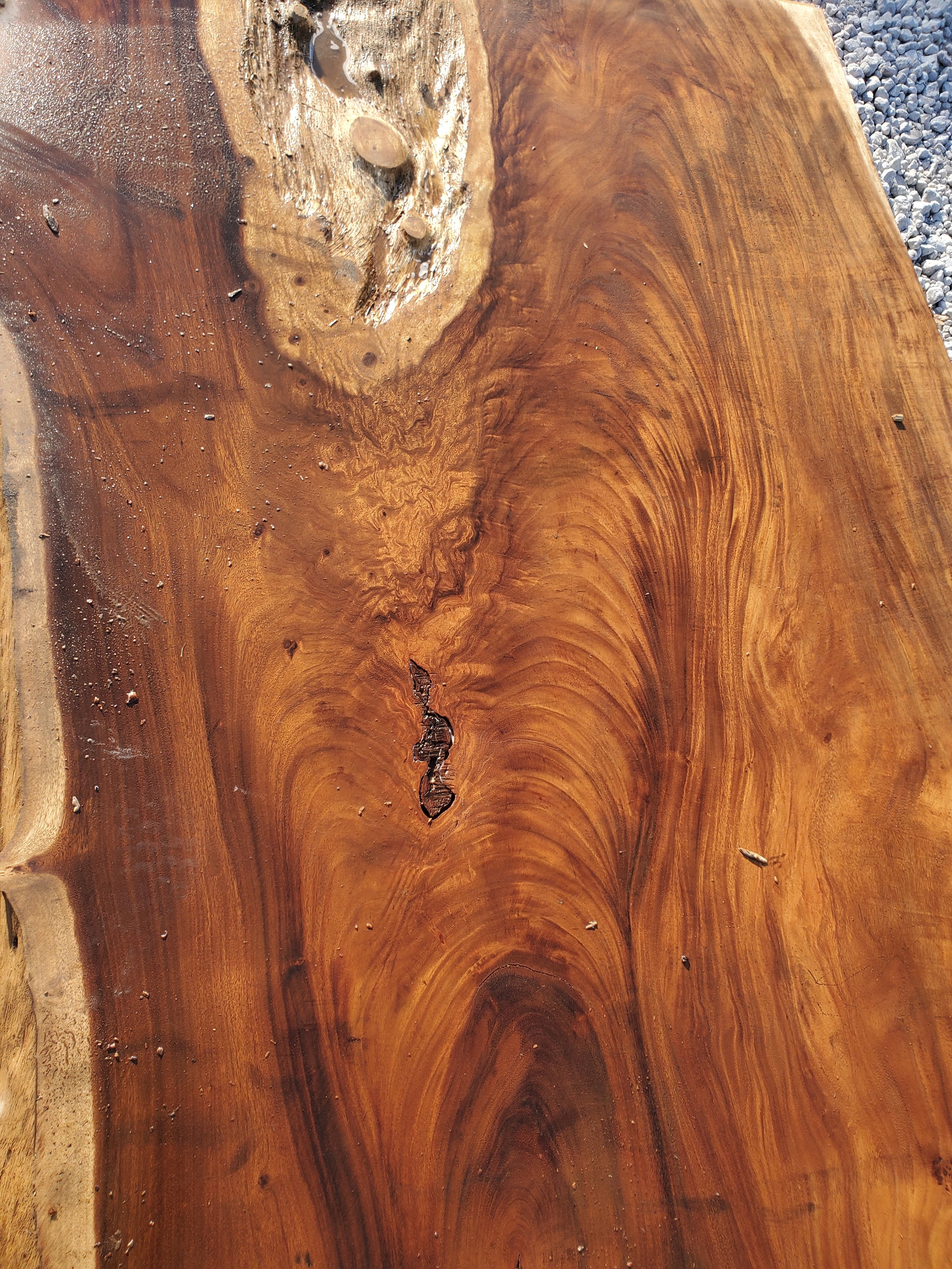 Live Edge Slab Monkey Pod Exotic Wood Lumber Huge Table Top 110" X 63 ...