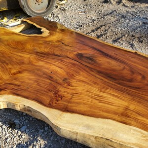 Monkey Pod Live Edge Slab Exotic Wood Lumber Huge Table Top 109" X 70 ...