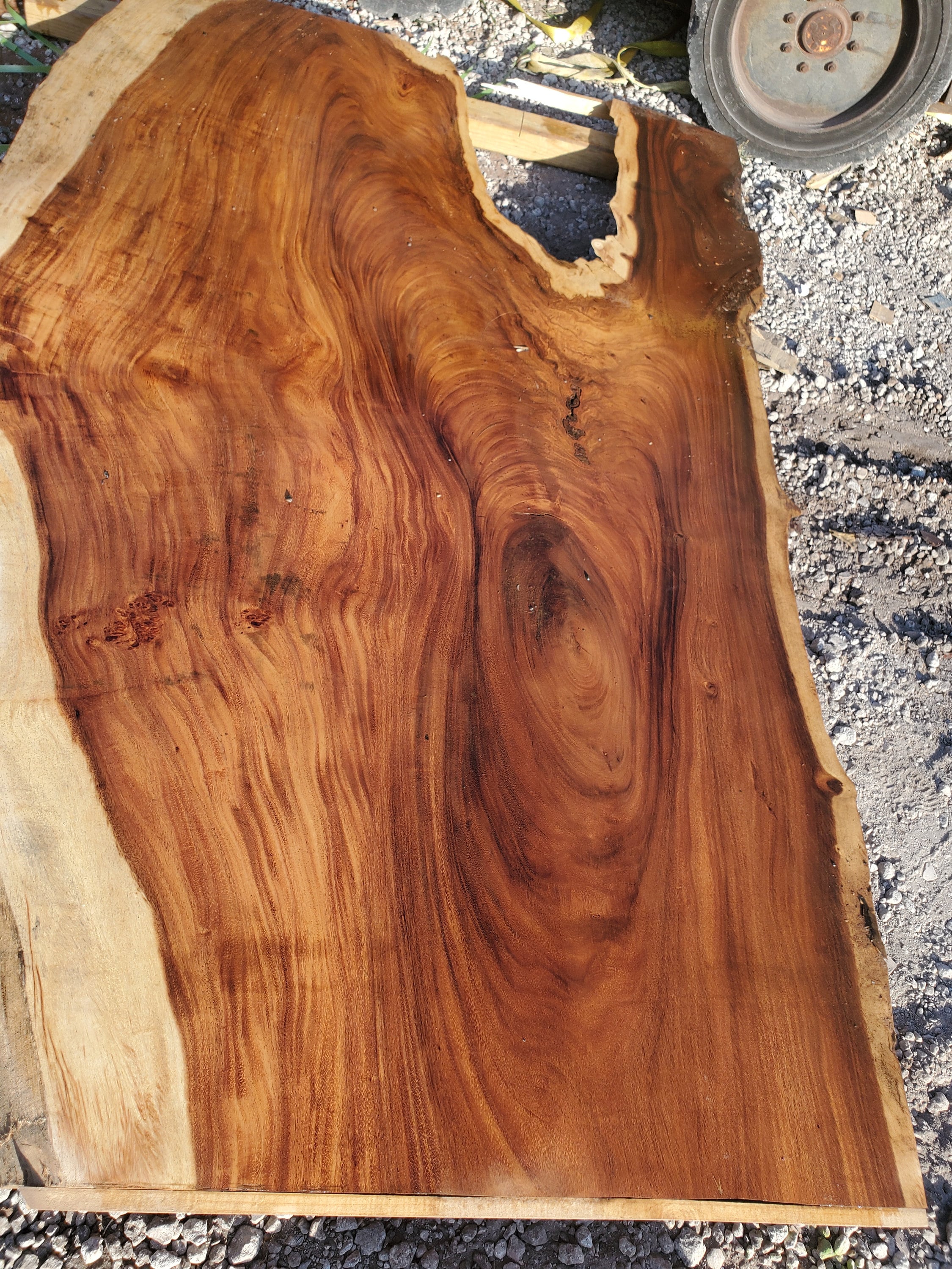 Monkey Pod Live Edge Slab Exotic Wood Lumber Huge Table Top 109" X 70 ...