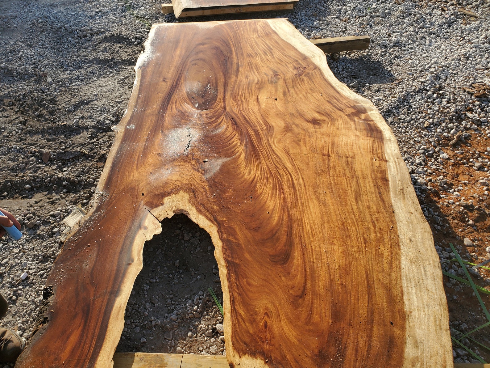 Monkey Pod Live Edge Slab Exotic Wood Lumber Huge Table Top 109" X 70" X 3" - Etsy