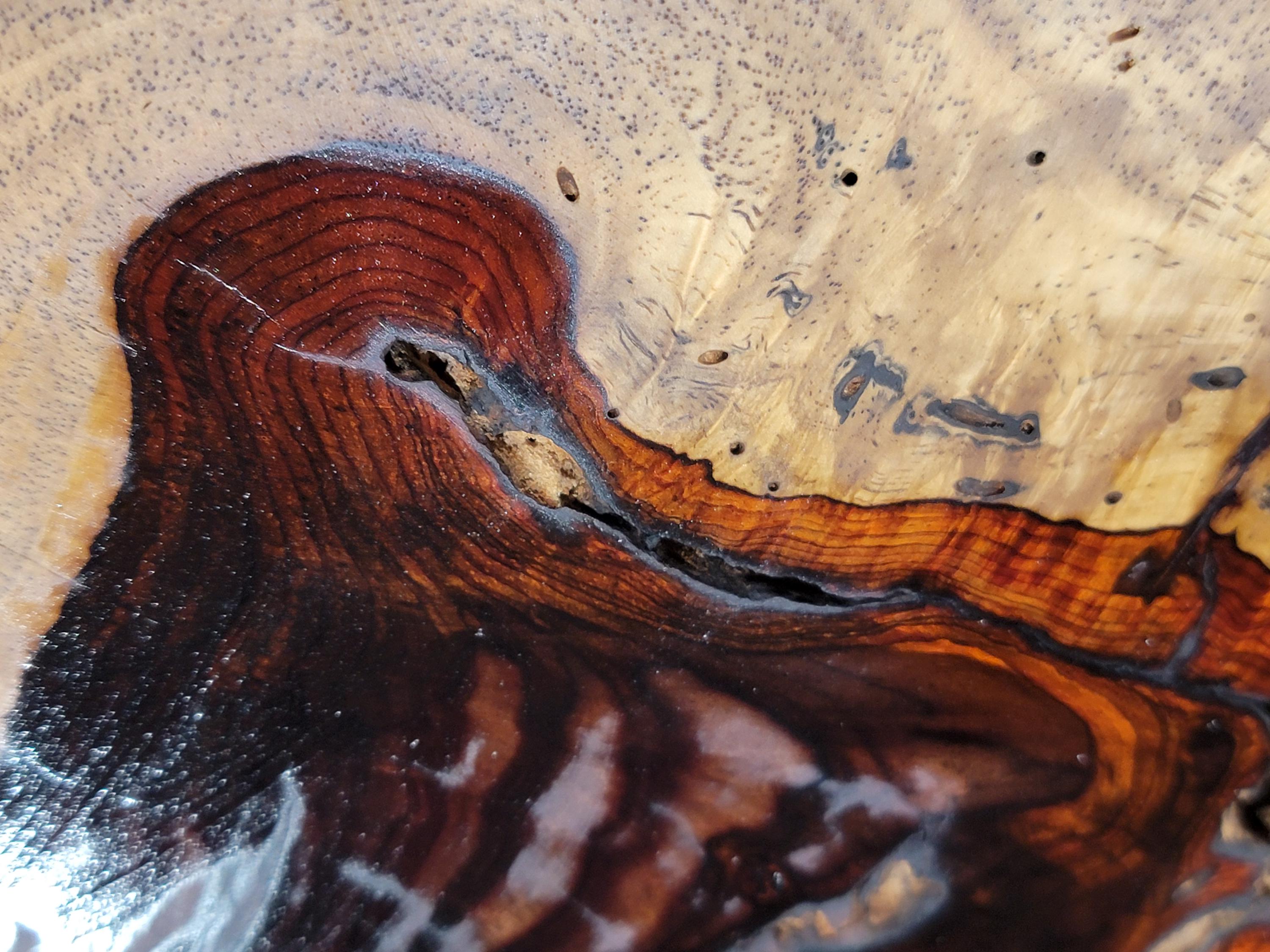 Cocobolo Rosewood Live Edge Slab Crosscut Medallions Exotic Wood Lumber ...