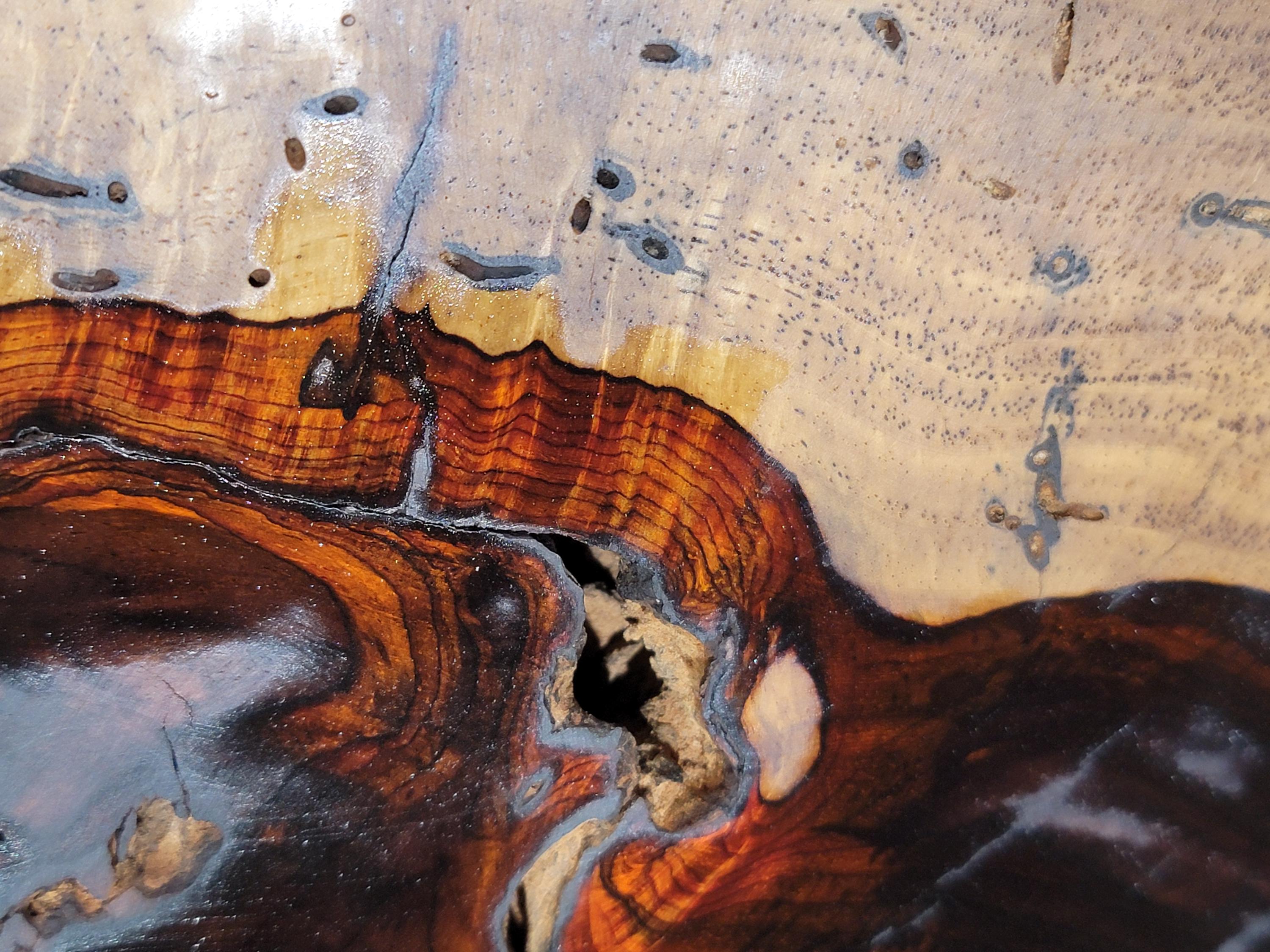 Cocobolo Rosewood Live Edge Slab Crosscut Medallions Exotic Wood Lumber ...
