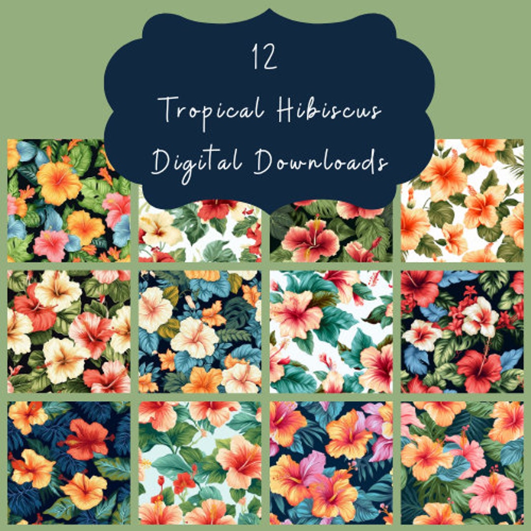 12 Tropical Hibiscus Floral Digital Downloads. Digital Papers. Colorful ...