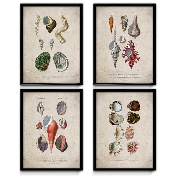 Prints Home & Living Antique Illustration for print INSTANT DOWNLOAD ...