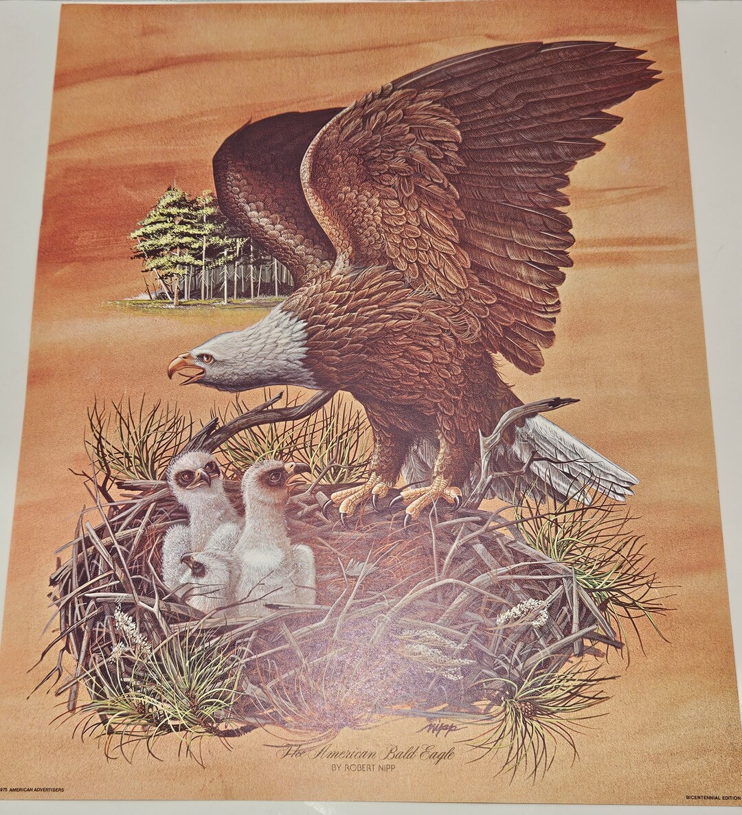 Vtg Robert Nipp American Bald Eagle Bicentennial Edition PRINT 12”x15” SIGNED - Etsy