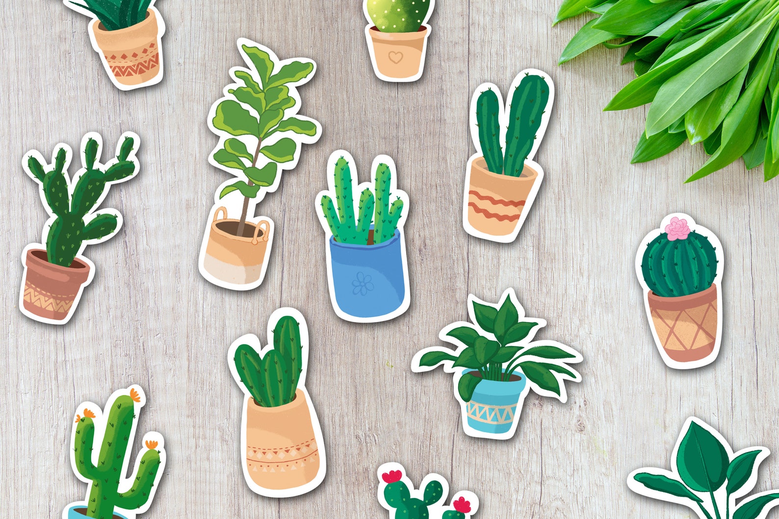 Cactus Sticker Pack Succulent Stickers Bullet Journal | Etsy