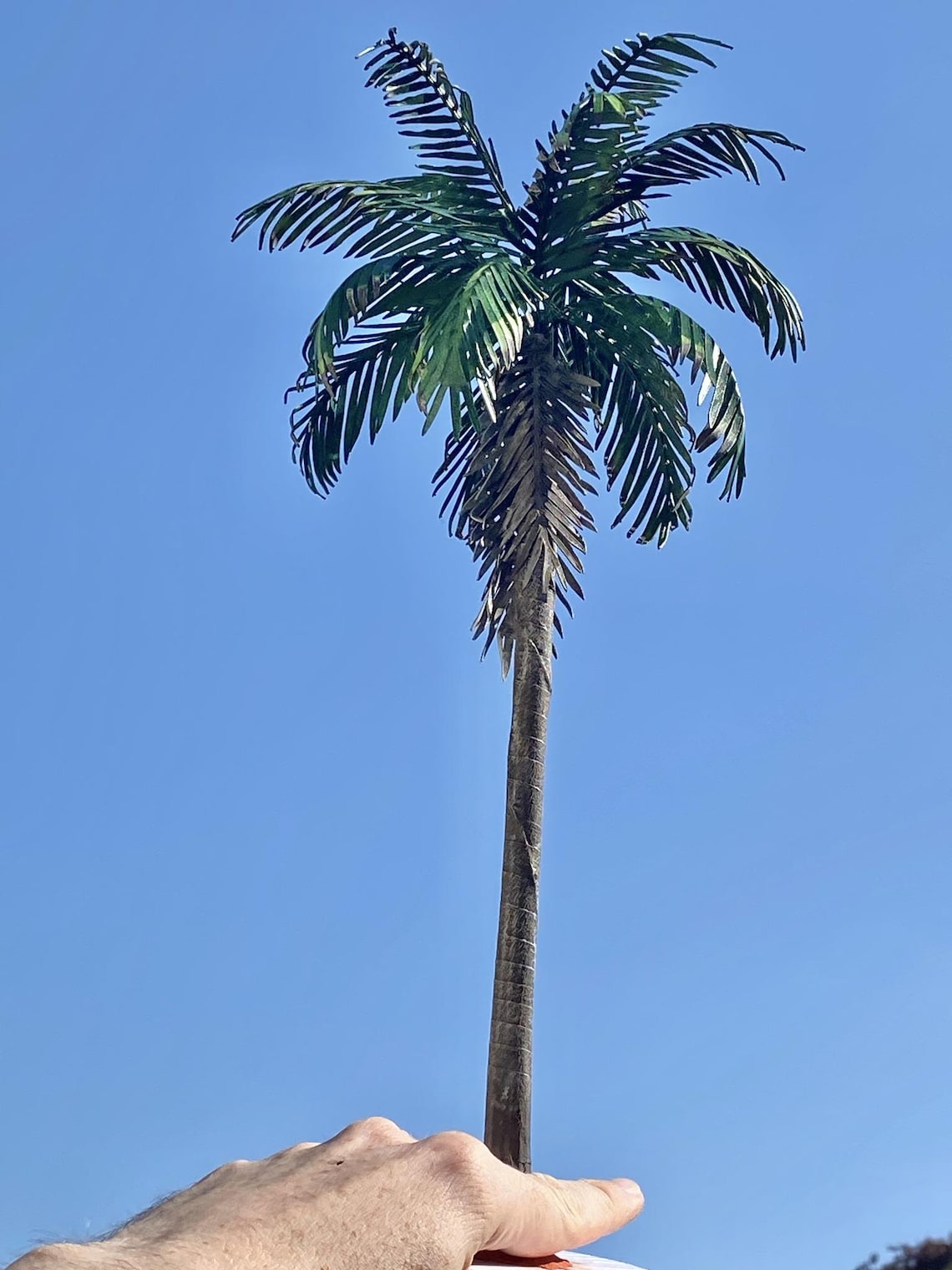 CRICUT Miniature Palm Tree Diorama Guide Realistic Model Tutorial - Etsy