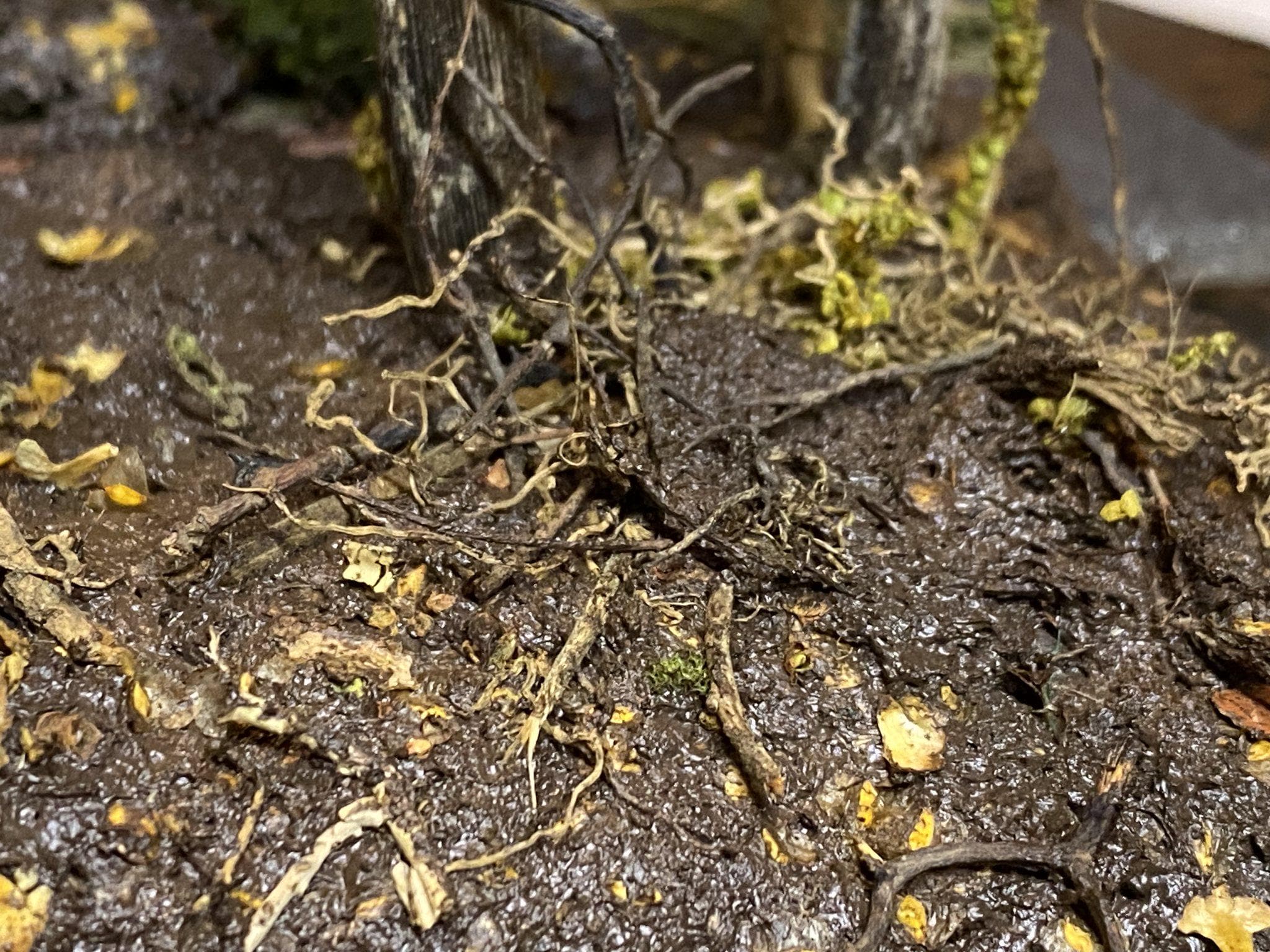 Miniature Mud Diorama Guide Realistic Model Effect Tutorial - Etsy
