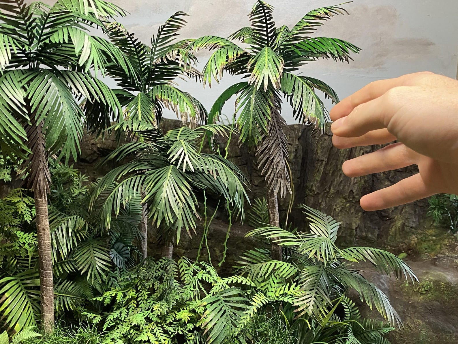 CRICUT Miniature Palm Tree Diorama Guide Realistic Model Tutorial - Etsy