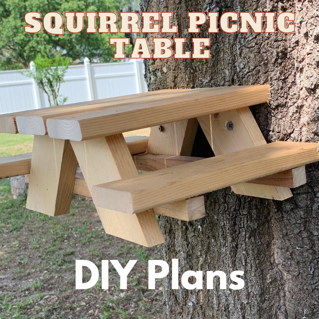 DIY Squirrel Picnic Table Feeder Plans, Squirrel Table, Pet Feeder ...