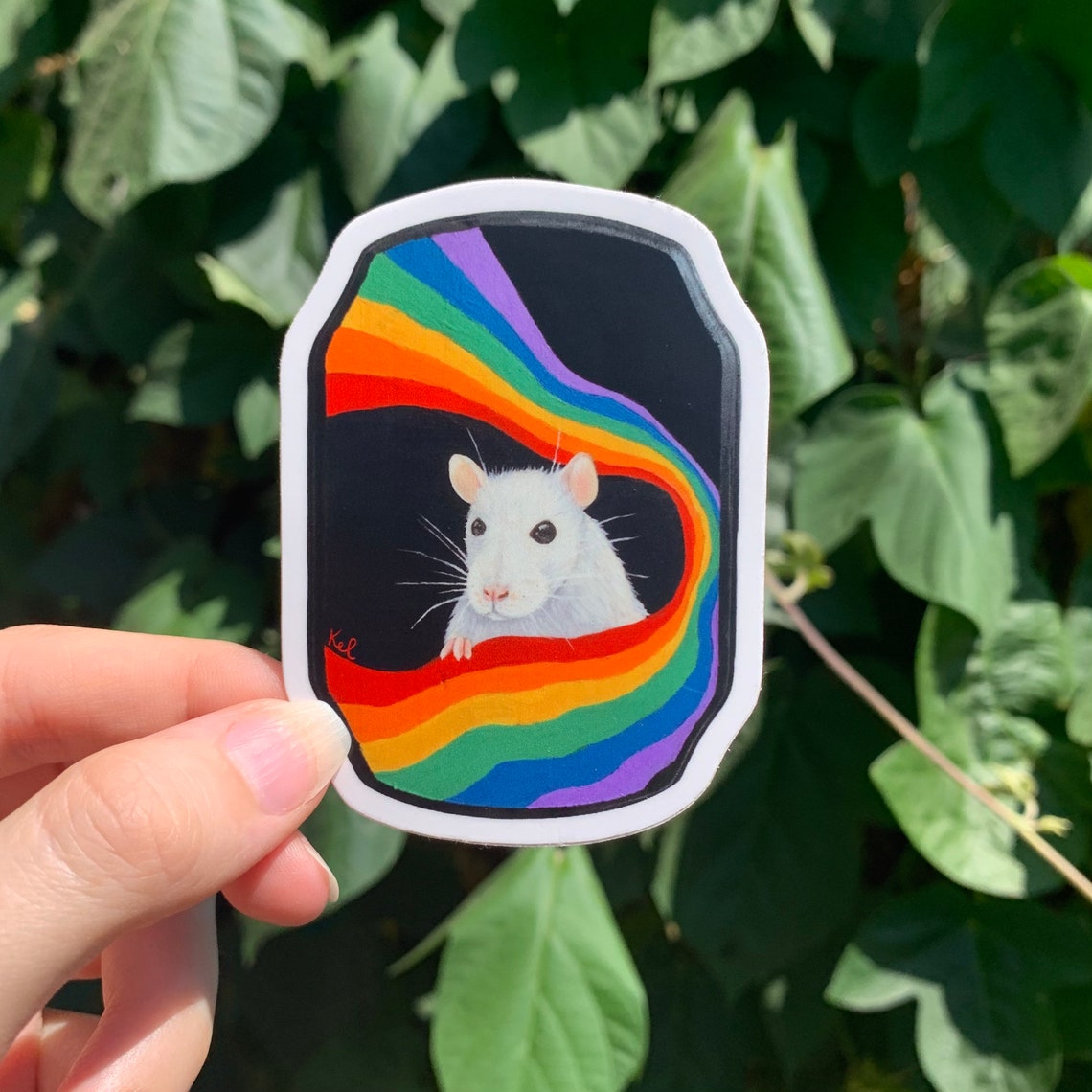 Rainbow Rat Pride Waterproof Vinyl Sticker - Etsy