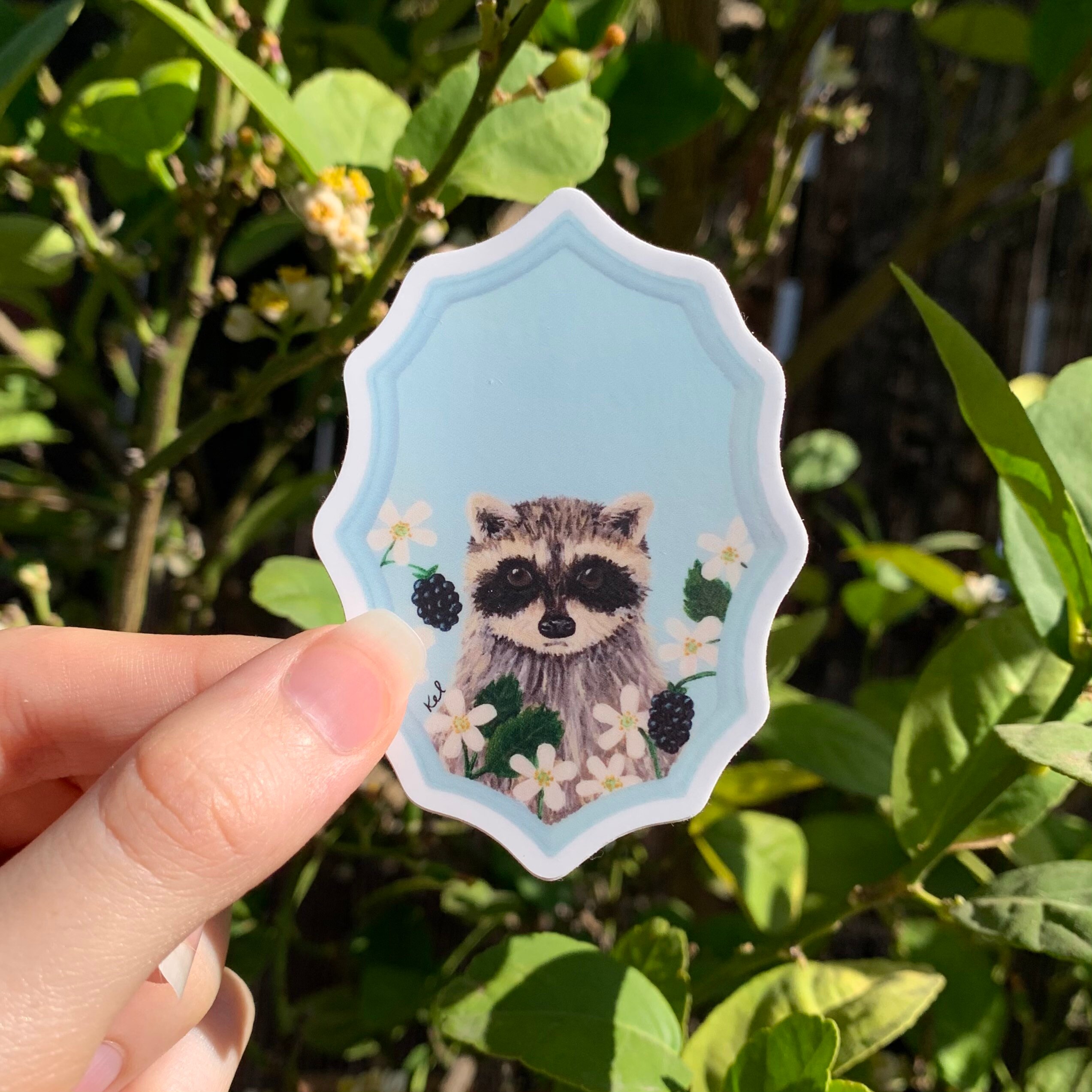 Mapache y moras silvestres pegatina de vinilo impermeable | Etsy