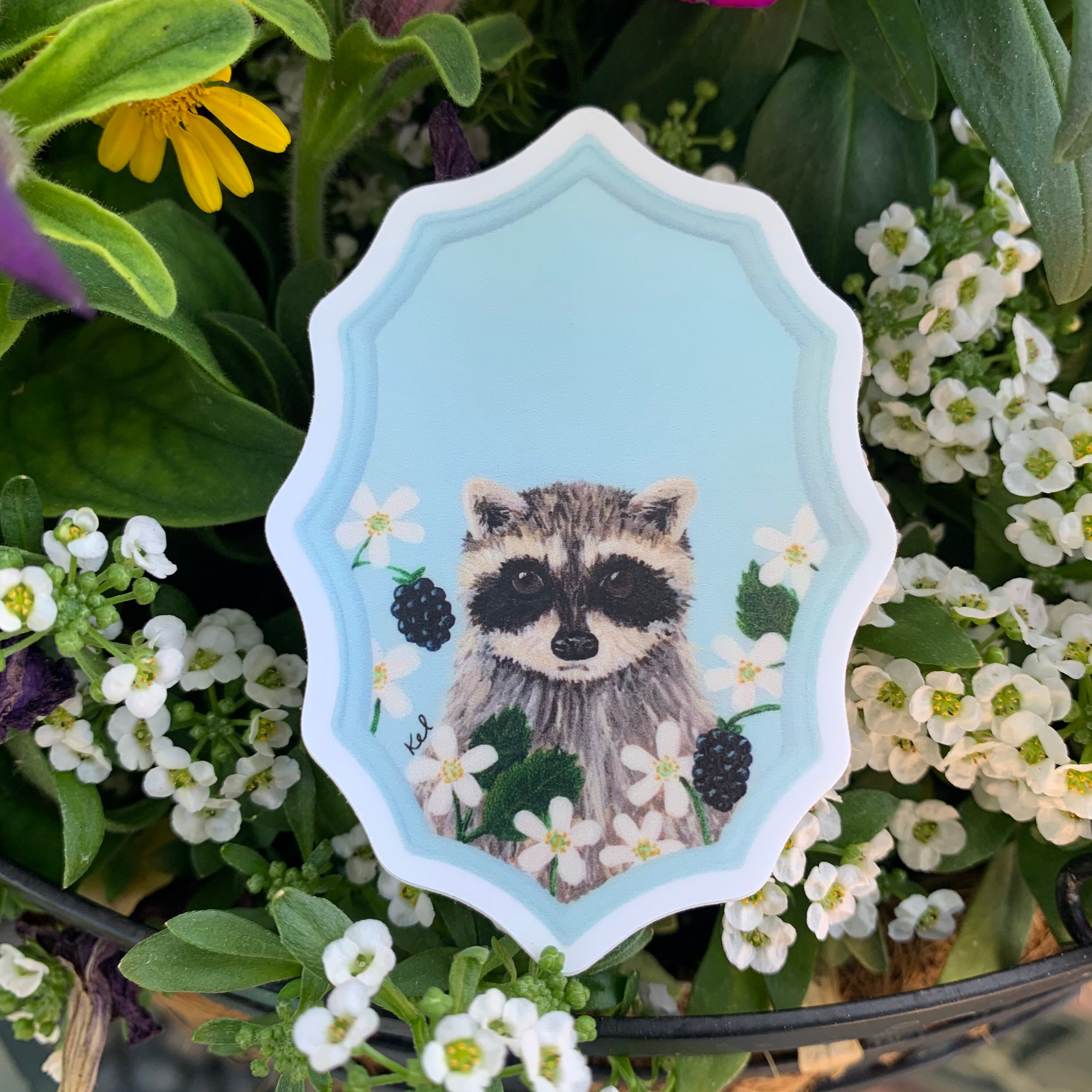 Mapache y moras silvestres Pegatina de vinilo impermeable - Etsy España