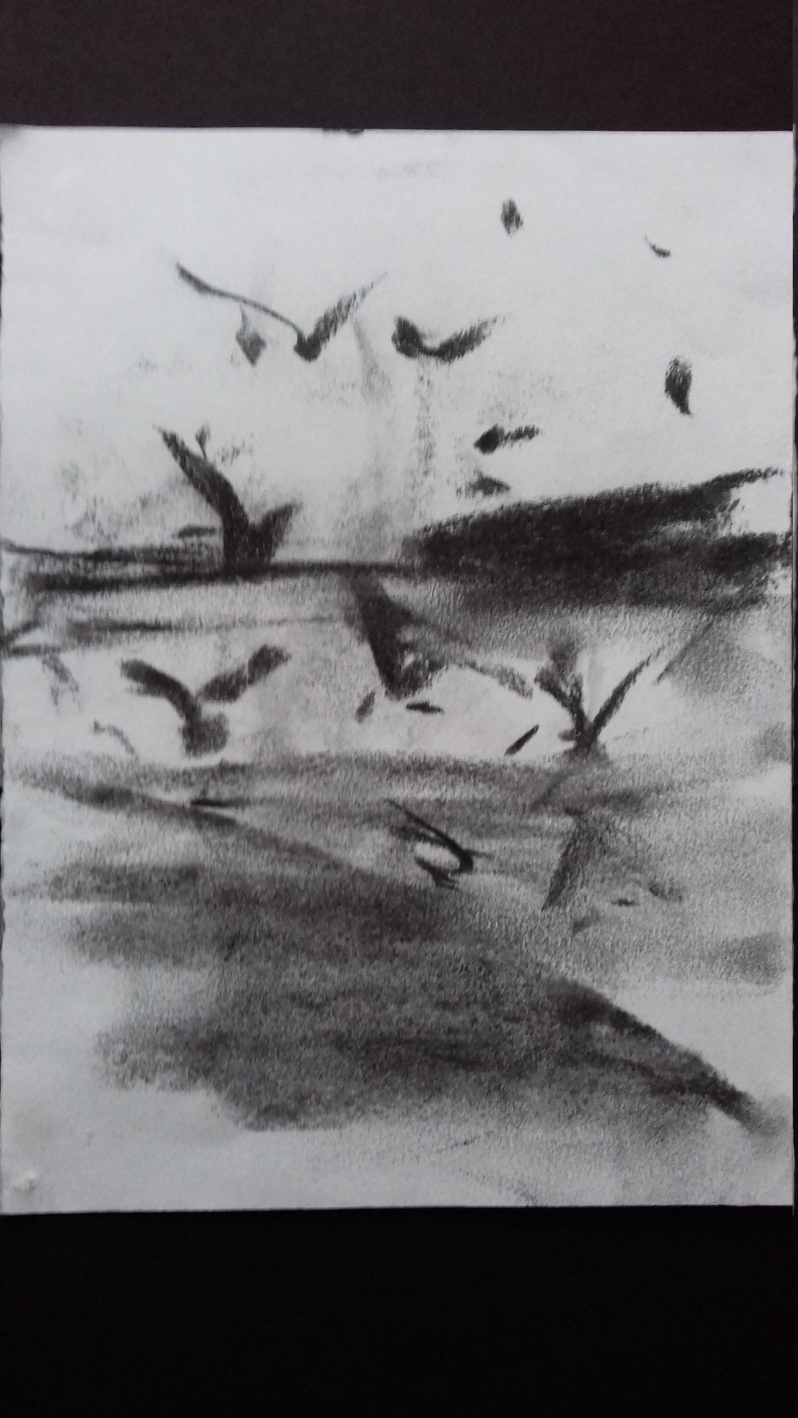 Charcoal Drawings Seagulls Studies From Life North Wales Llanduno Scene ...