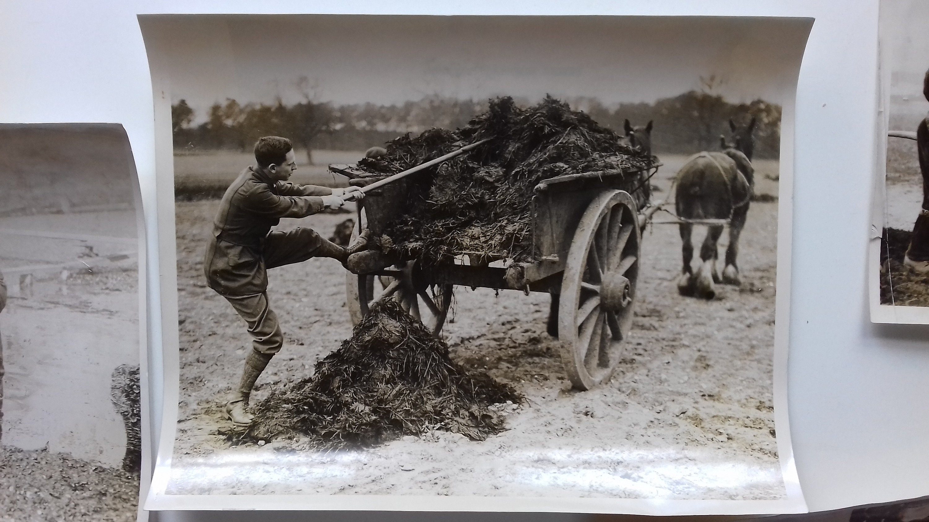 Agriculture Press Photographs 1920s Farming - Etsy