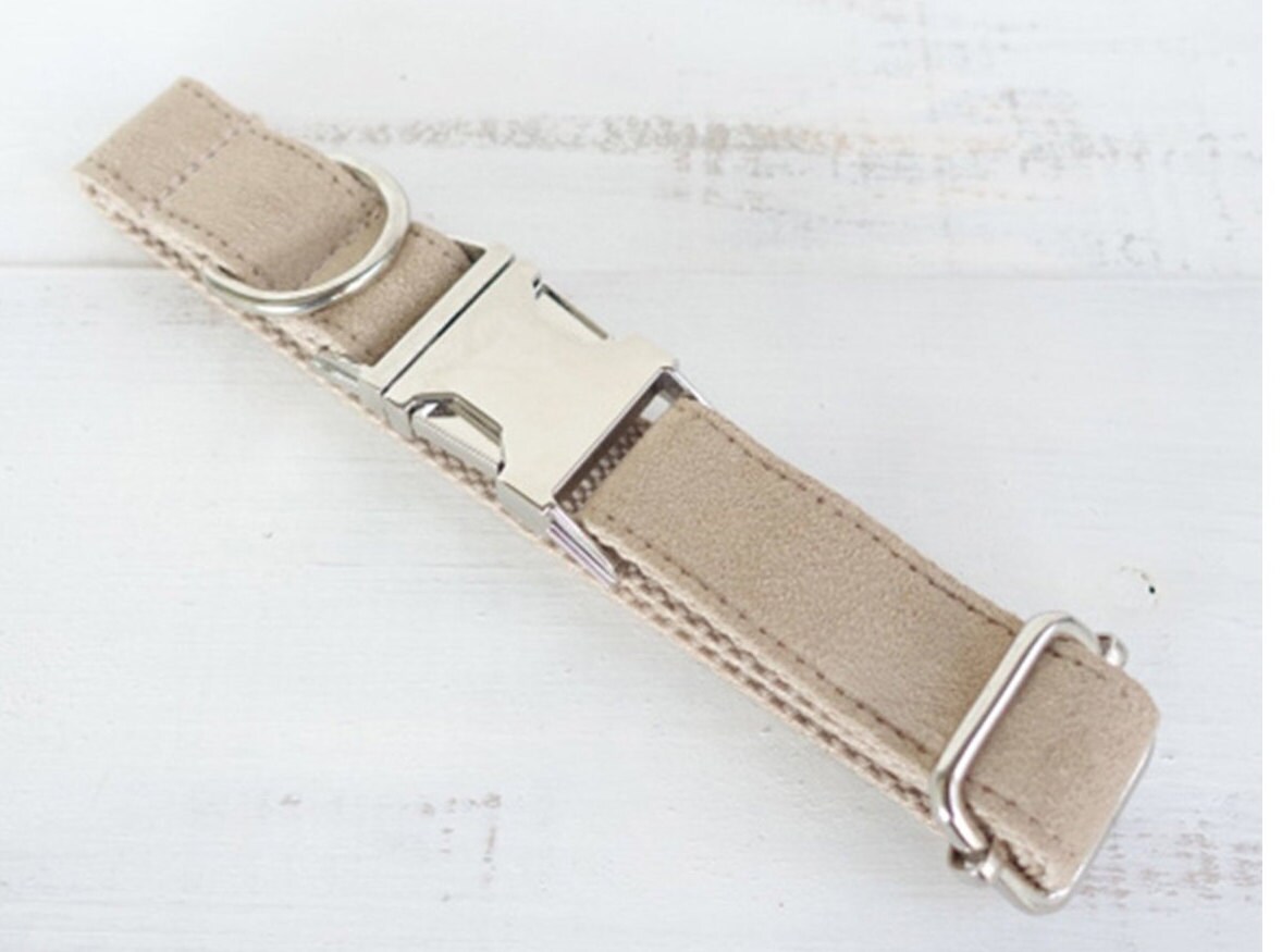 Corgi Collars