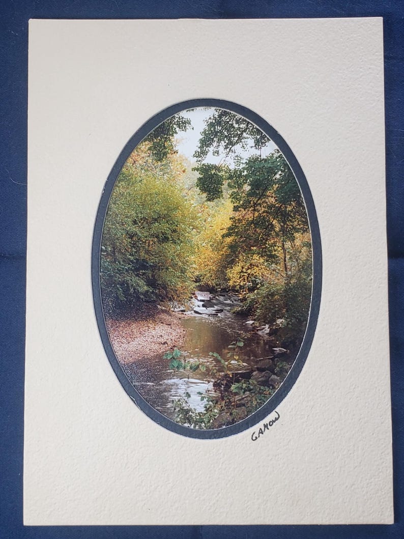 Three Gamow's Signed Photographs - Etsy