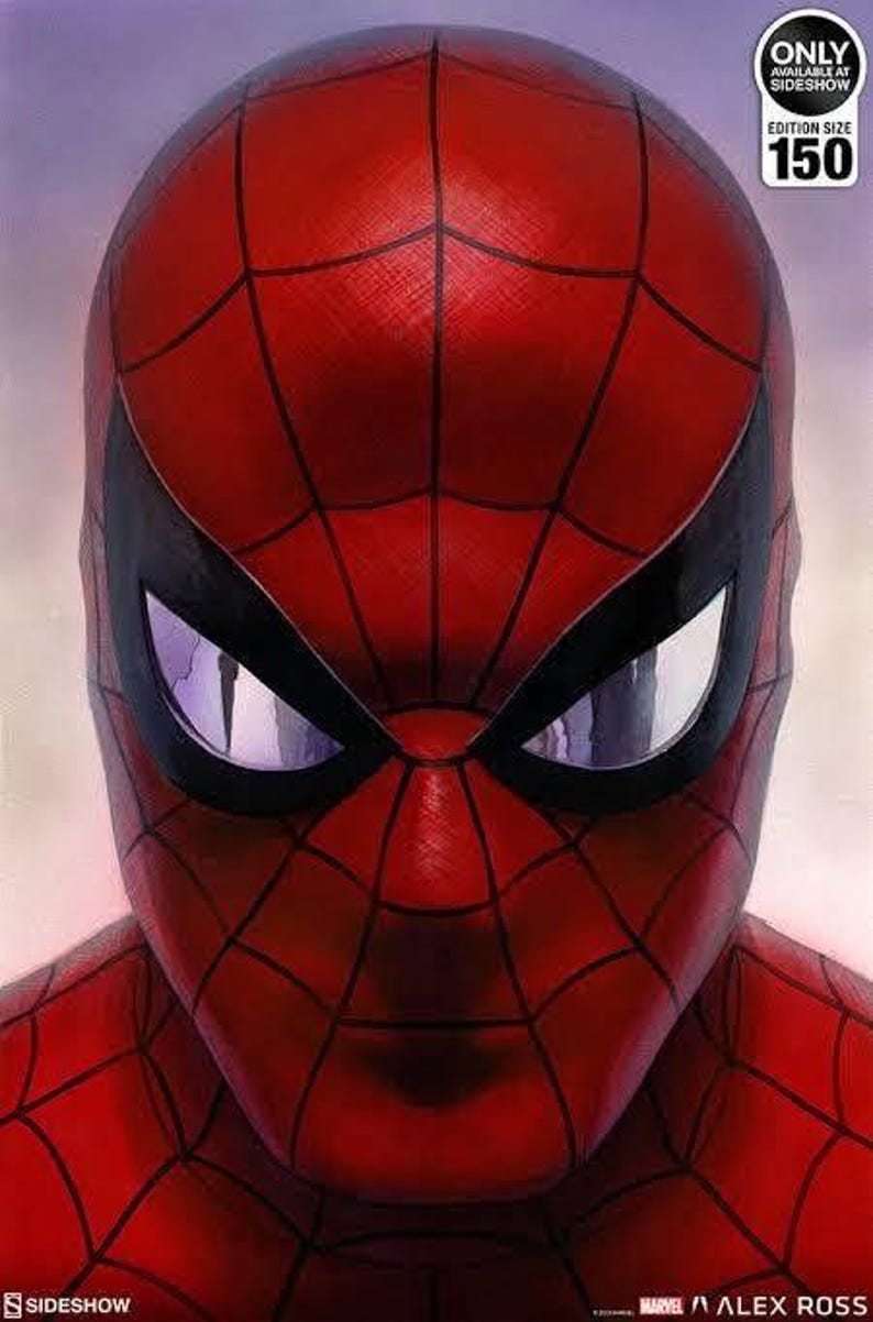 Spiderman Alex Ross Faceshell and Lenses - Etsy UK