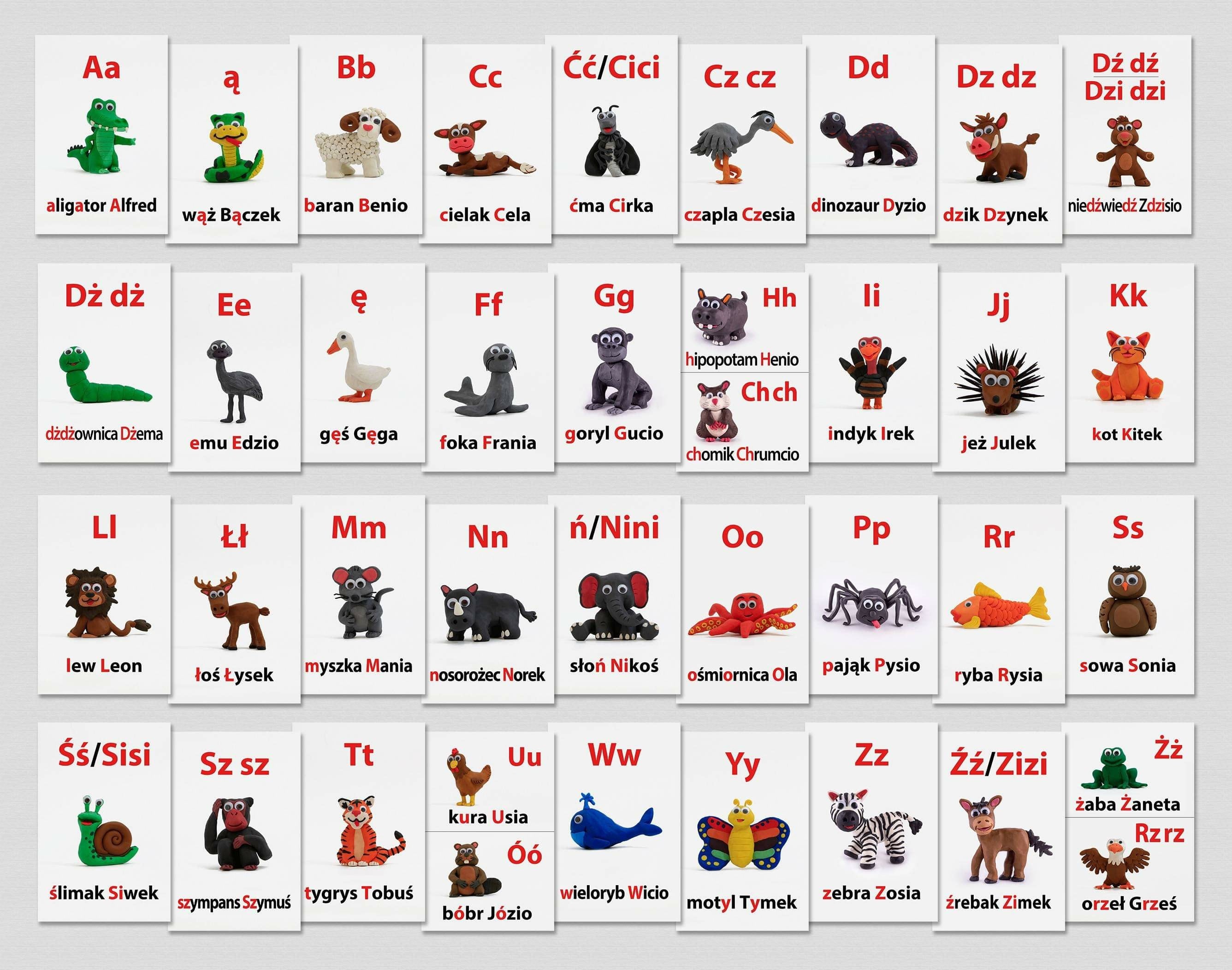 Polnisches Alphabet Flash Cards 10x6 - Etsy.de