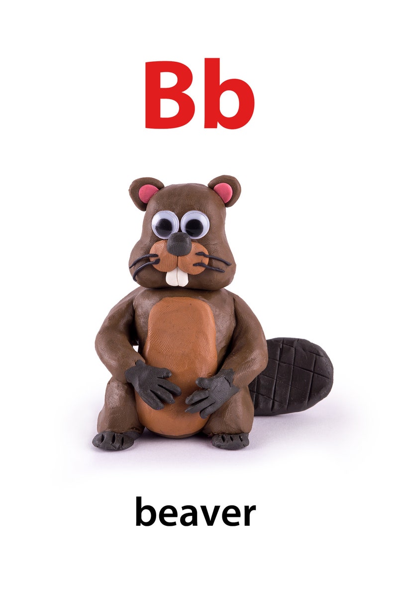 Animal, Alphabet, Flash Cards, ABC, Clay Figures, English, Wall Decor ...