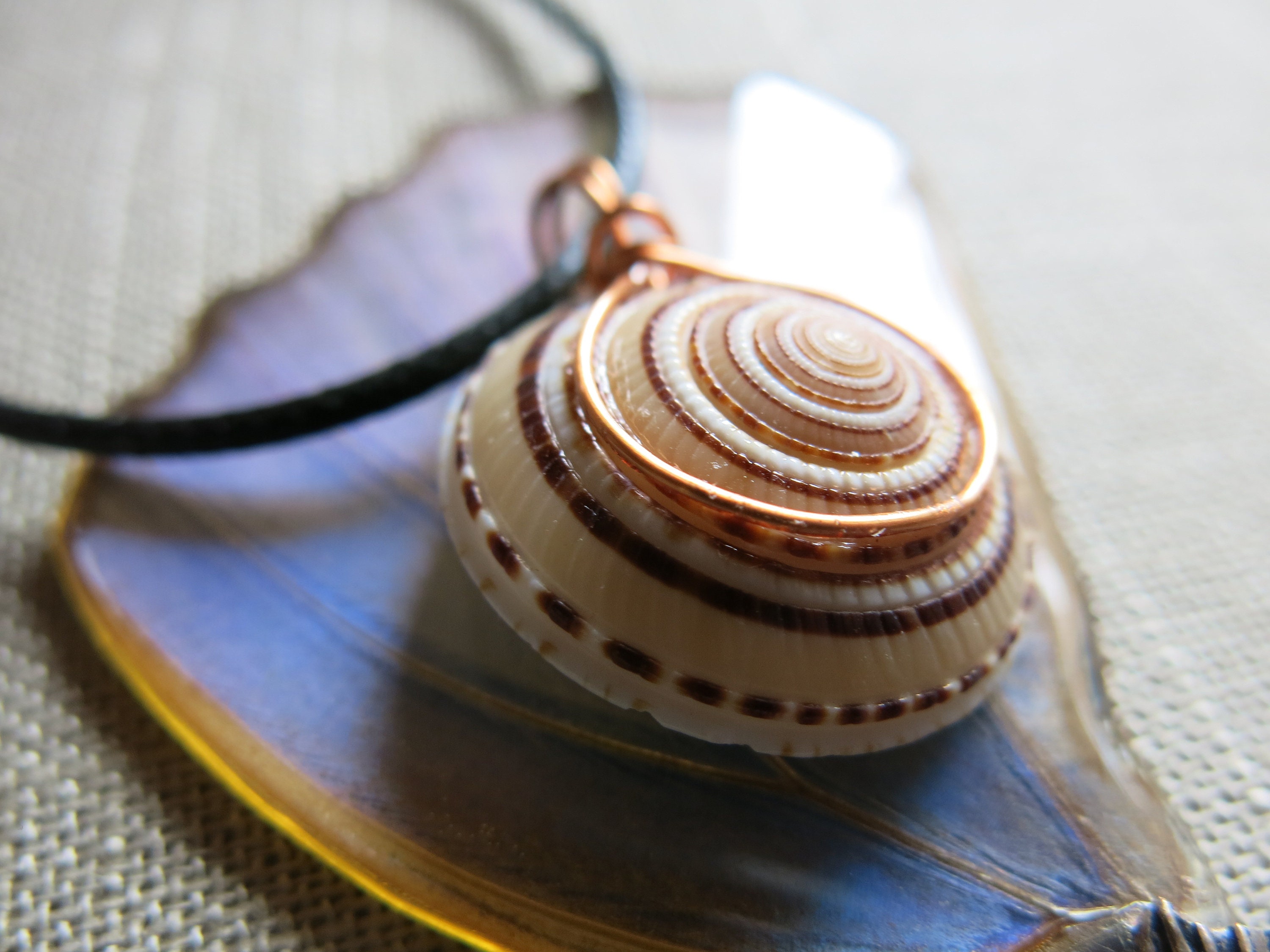 Ships Fast Sundial Sea Shell Pendant Necklace - Etsy