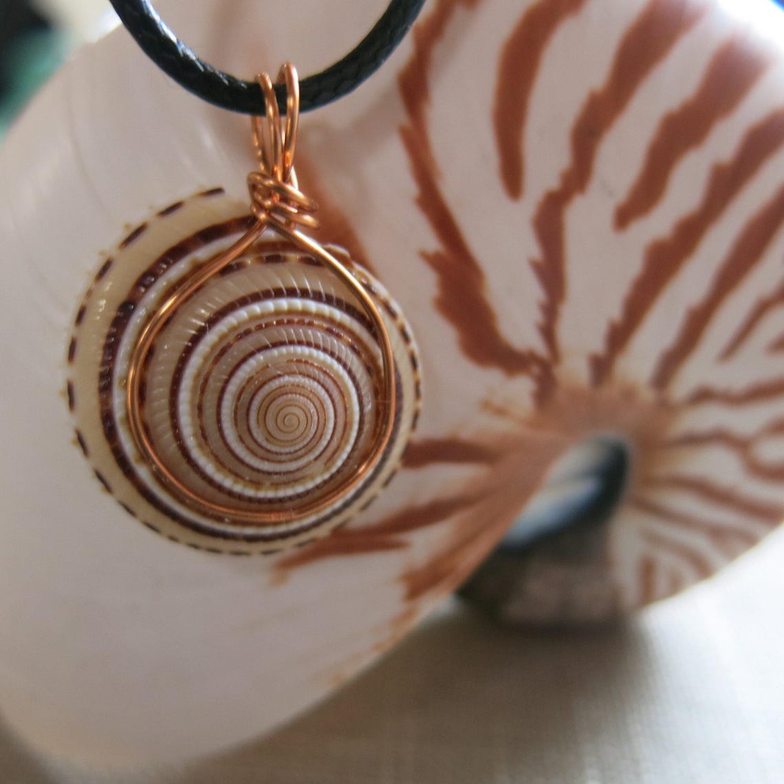 Ships Fast! Sundial Sea Shell Pendant Necklace - Etsy