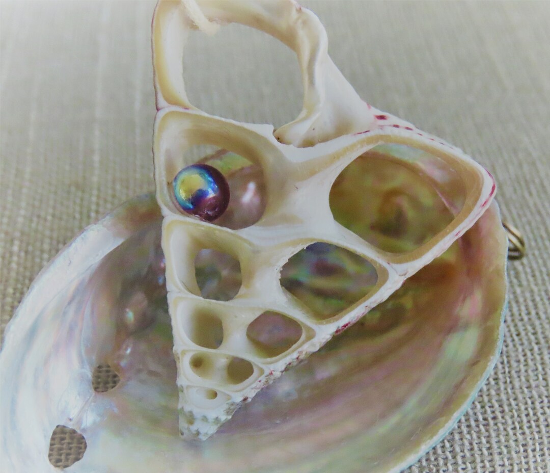 Ships Fast Sliced Trochus Seashell Pendant Necklace - Etsy