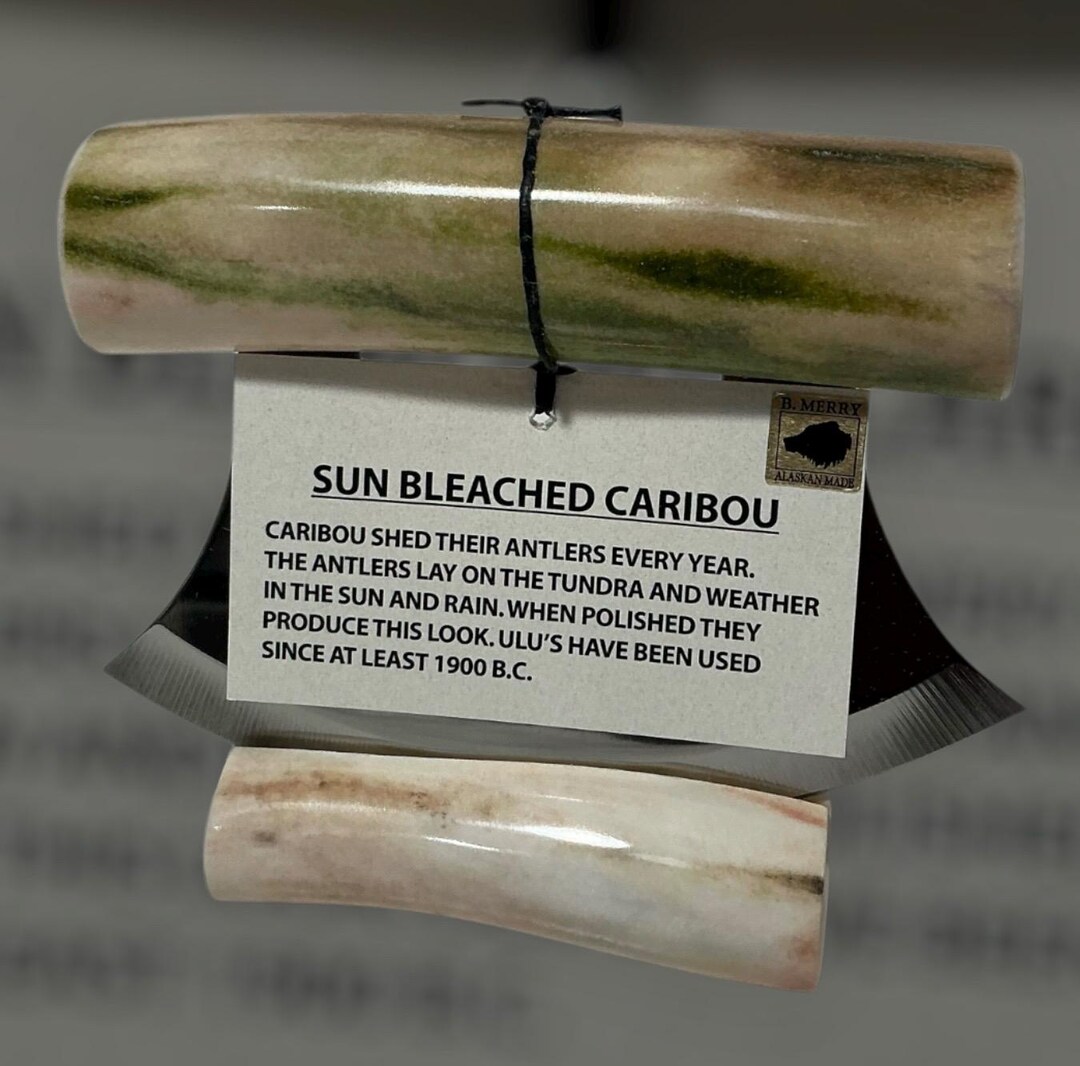 Handmade Made in Alaska Polished Natural Multi Coloring Sunbleached ...