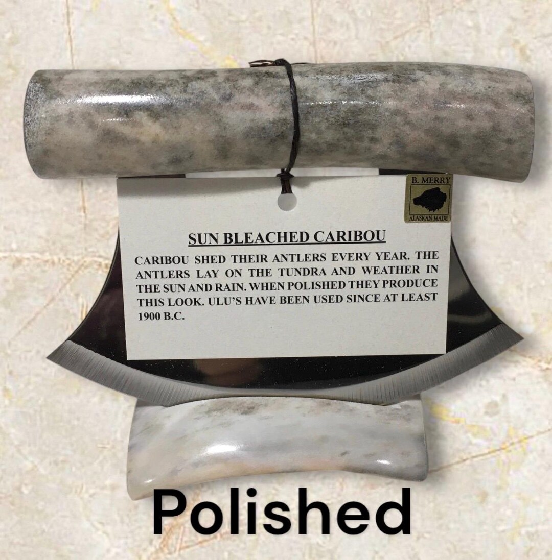 Handmade Made in Alaska Polished Natural Coloring Sunbleached Caribou ...