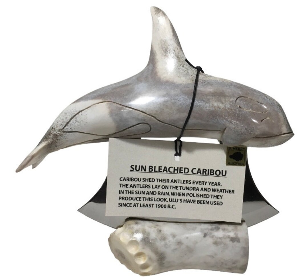 Made in Alaska Sun Bleach Carved Lrg Size Orca Whale Caribou Antler Ulu ...