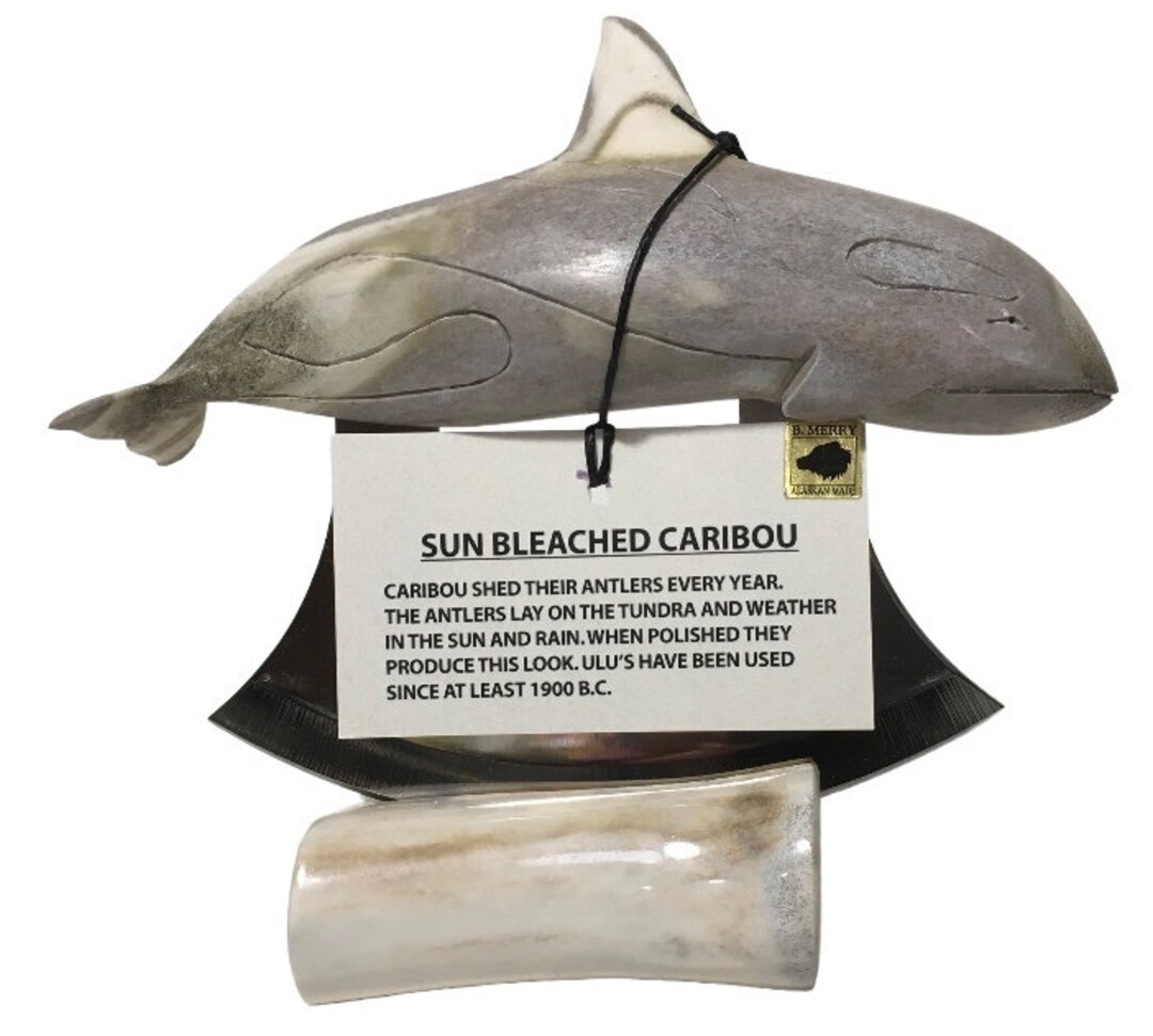 Made in Alaska Sun Bleach Carved Lrg Size Orca Whale Caribou Antler Ulu ...