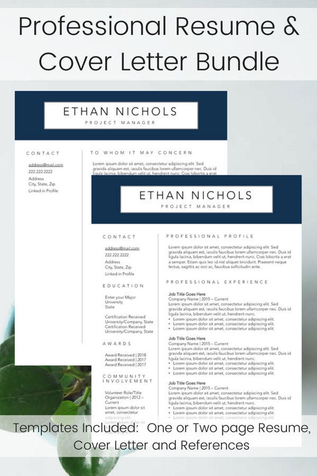 Professional Resume Template | Men's Resume Builder | Navy and Silver ...