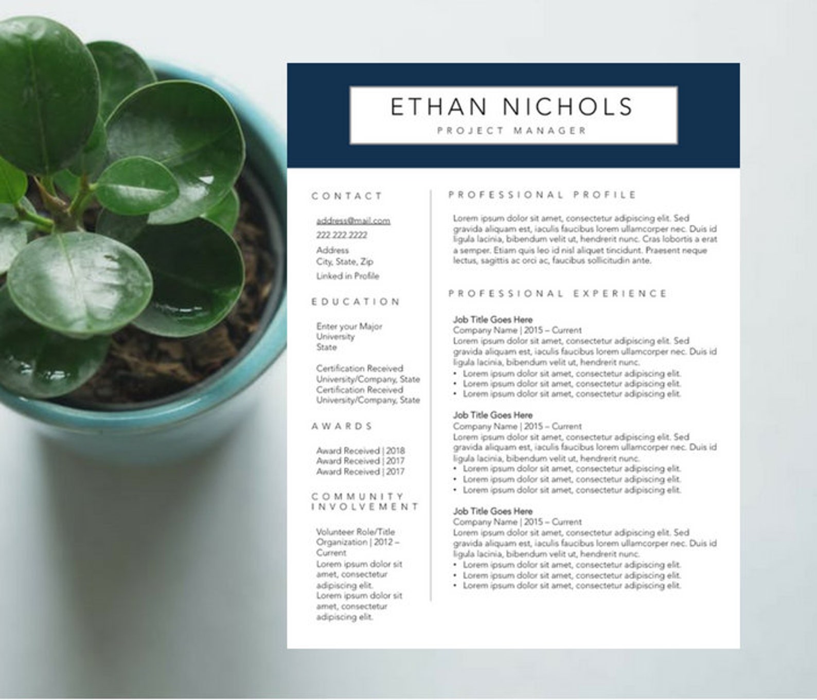 Professional Resume Template | Men's Resume Builder | Navy and Silver ...