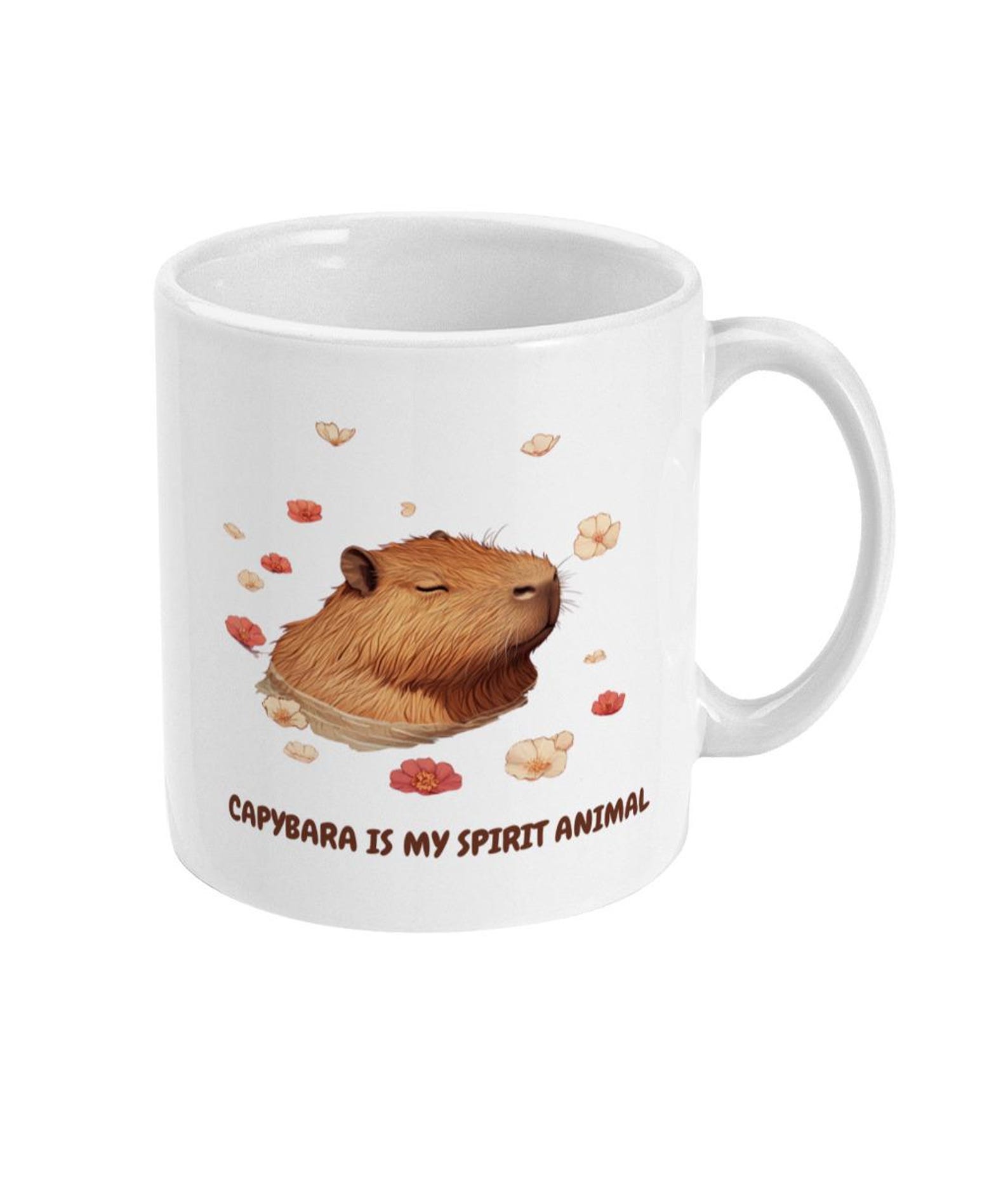 Capybara Mug, Capybara Gift Mug, Capybara Gift, Cute Mug, Funny Gift - Etsy