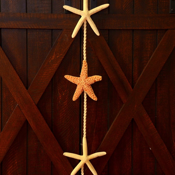 Starfish Wall Decor - Etsy