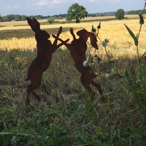 Large Rusty Rustic Boxing Fighting Hares Garden Statue - Etsy UK