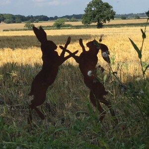 Large Rusty Rustic Boxing Fighting Hares Garden Statue - Etsy UK