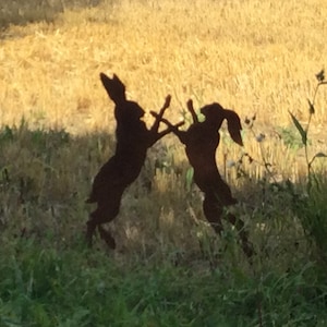Large Rusty Rustic Boxing Fighting Hares Garden Statue - Etsy UK