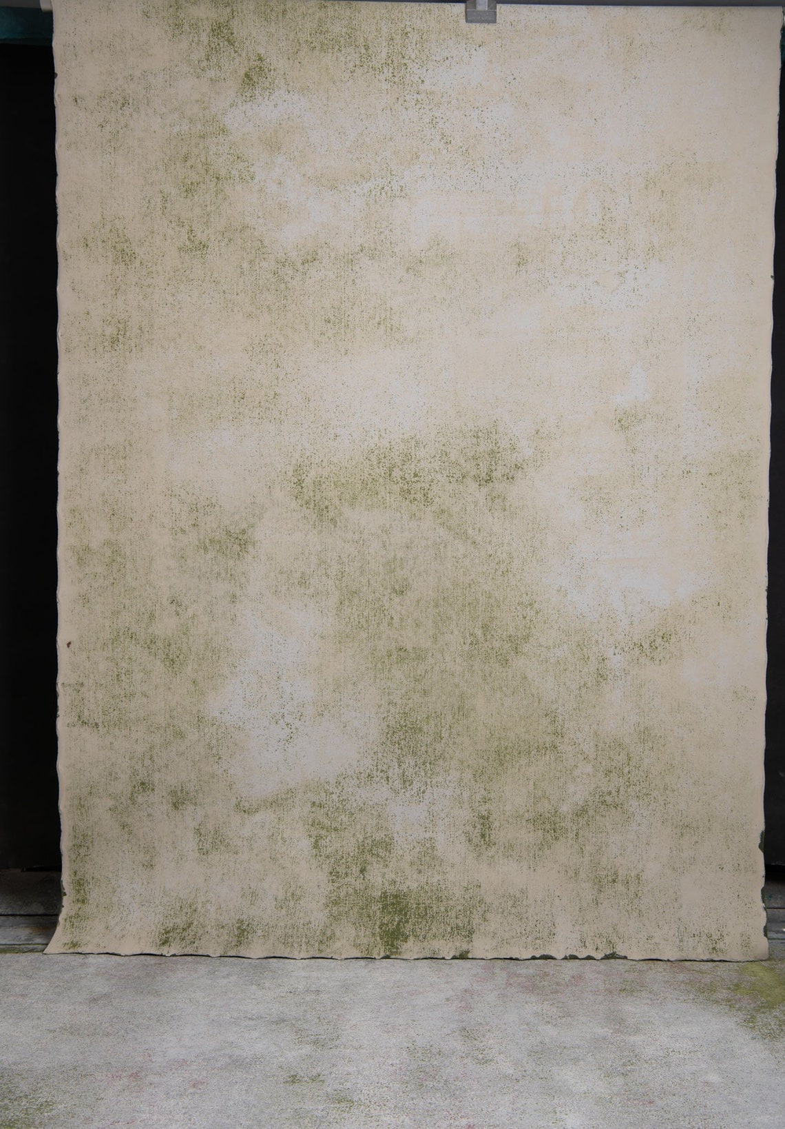 Olive Hand Painted Canvas Backdrop, 180x270cm, Soft Texture for ...