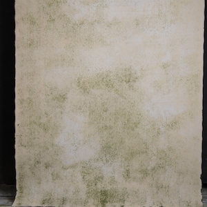 Olive Hand Painted Canvas Backdrop, 180x270cm, Soft Texture for ...