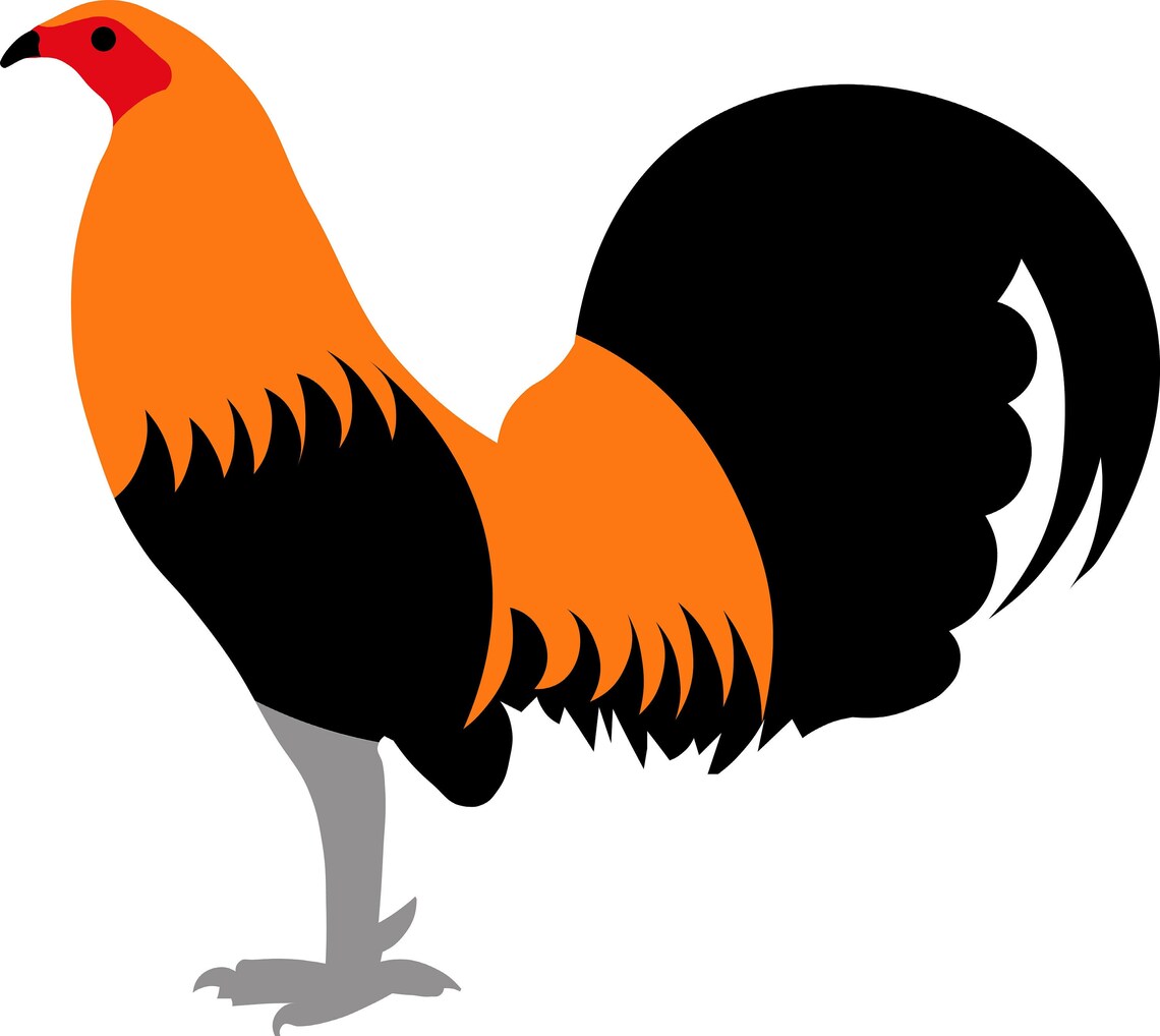 Digitizing rooster vector rooster File gallo vector | Etsy