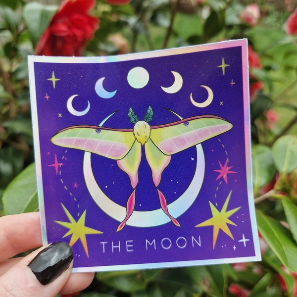 Chinese Moon Moth Vinyl Sticker - Etsy