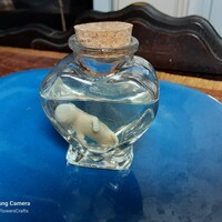 Wet Specimens - Etsy