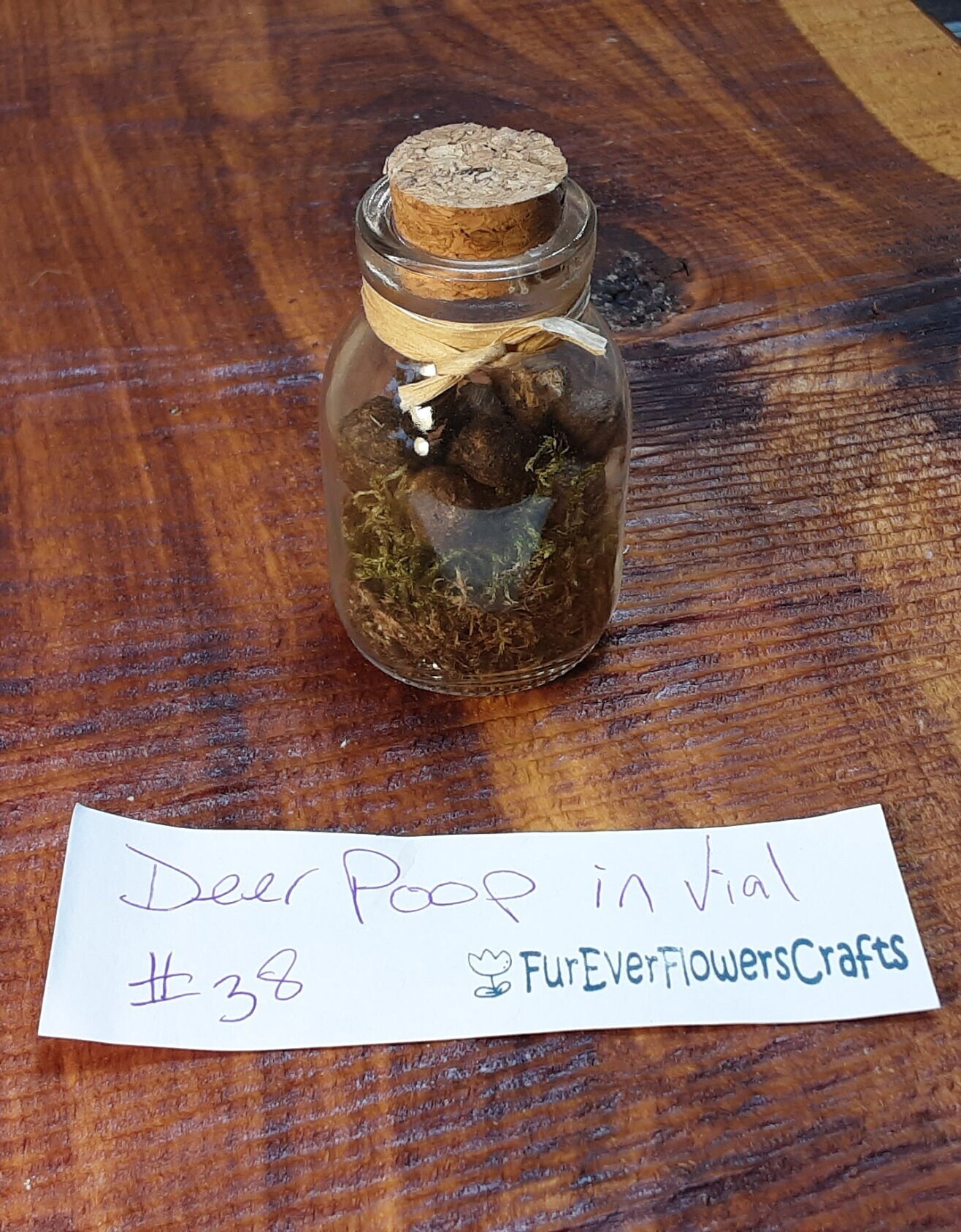 Deer Poop in a Bottle/vial of Deer Poop Pellets and Real Moss/mystery ...