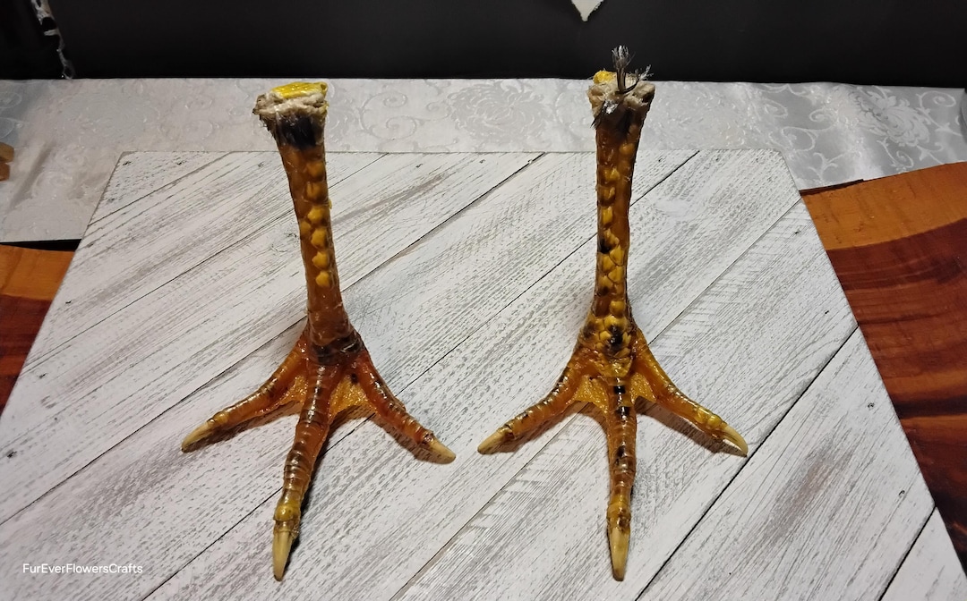 Real Chicken Feet/bird Feet/chicken Foot/chicken Claws/bird Claws/bones ...